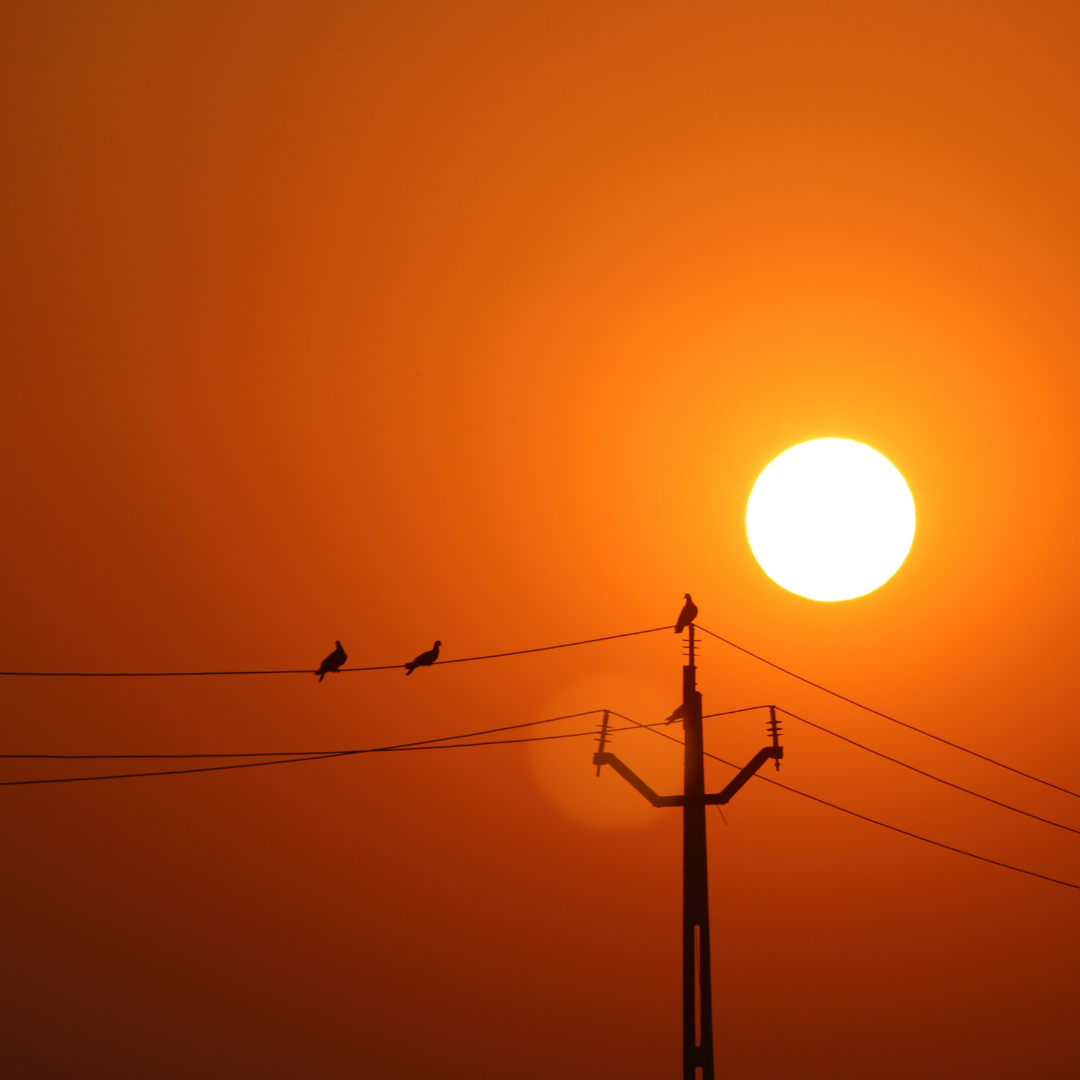 Heat wave safety tips | Michigan Association of Health Plans | Michigan ...